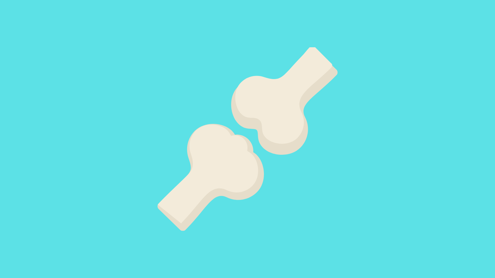 PIPJ Anatomy - Joint, Ligaments, Volar Plate