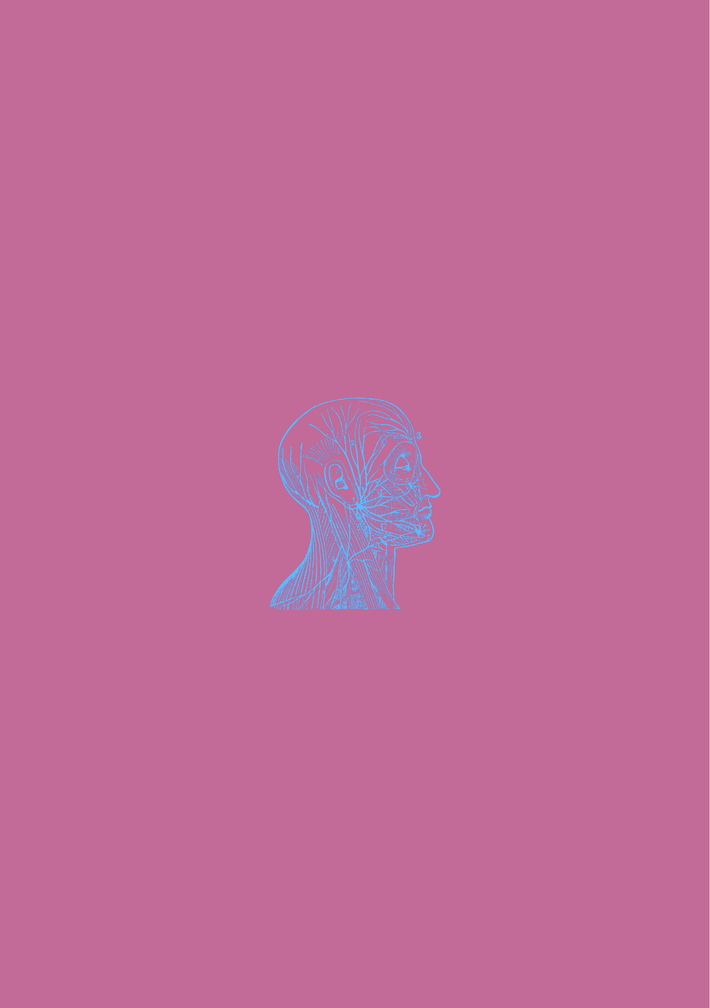 Facial Nerve · Anatomy, Course, Branches, Variations