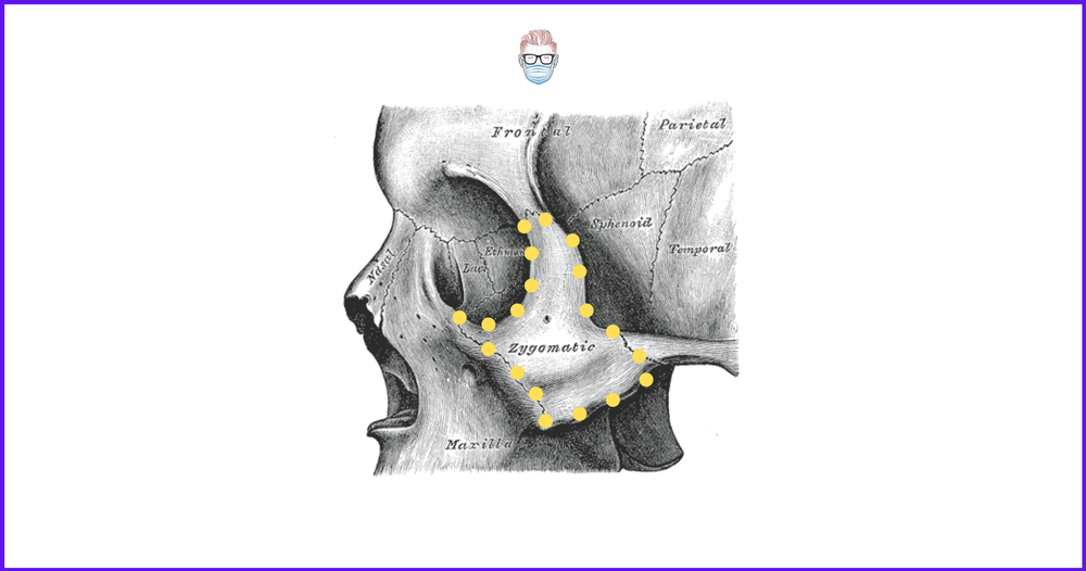 Zygomaticomaxillary complex (ZMC) fractures