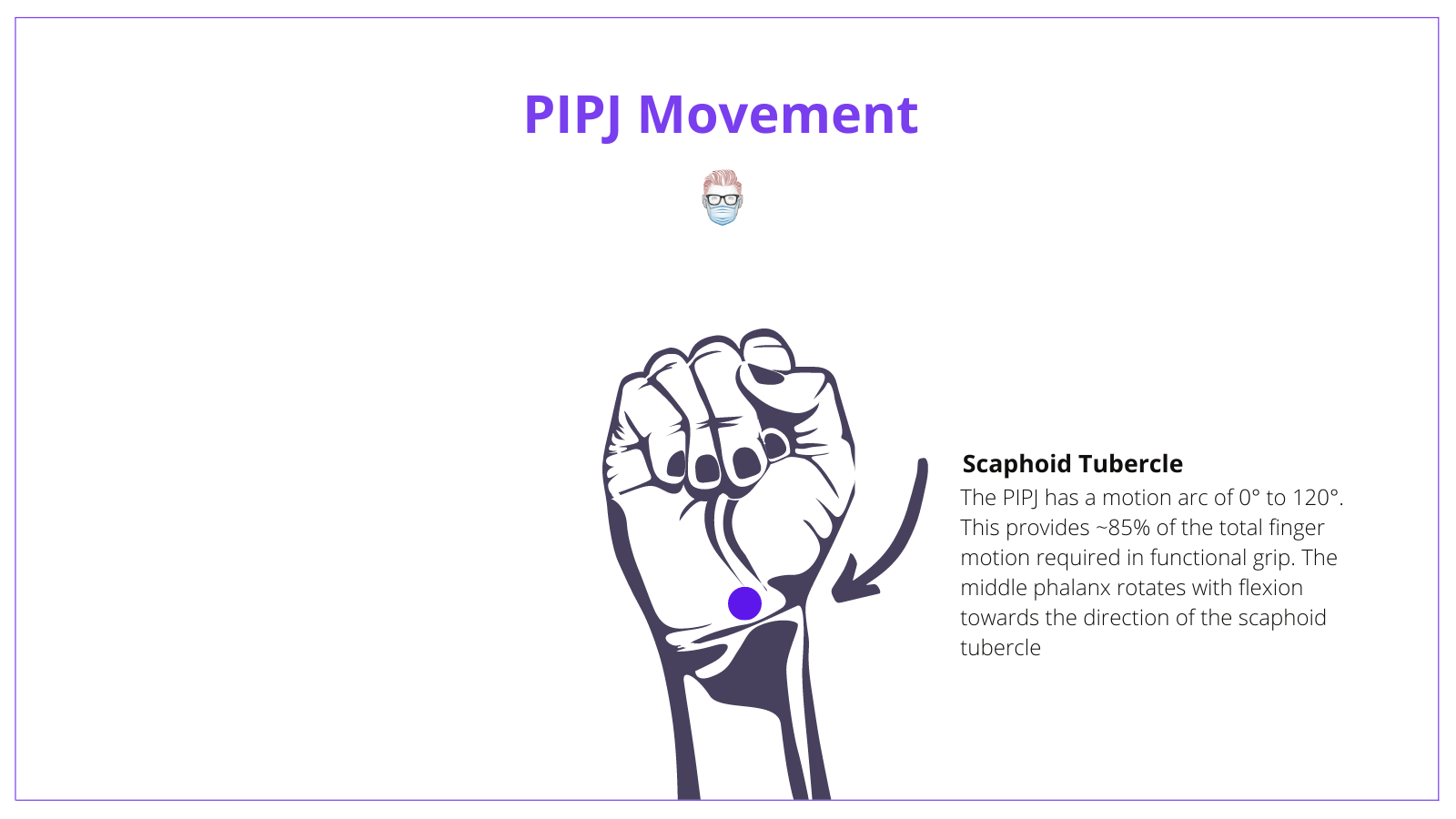 PIPJ Anatomy - Joint, Ligaments, Volar Plate