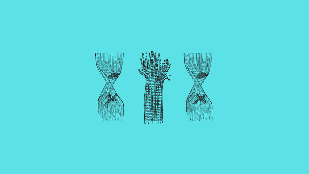 Flexor Tendon Injury Repair (with Images)