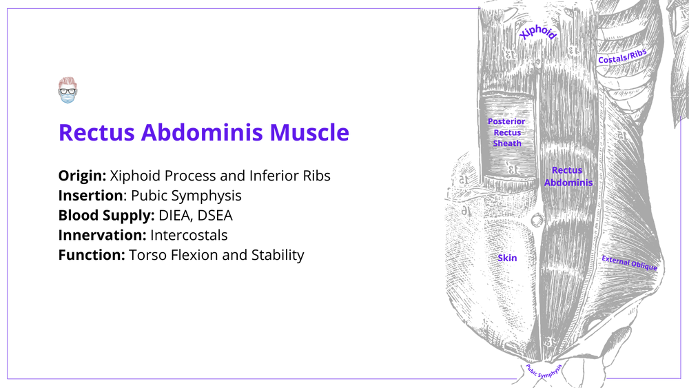 VRAM Flap - Indications, Anatomy, Technique (+ Images)