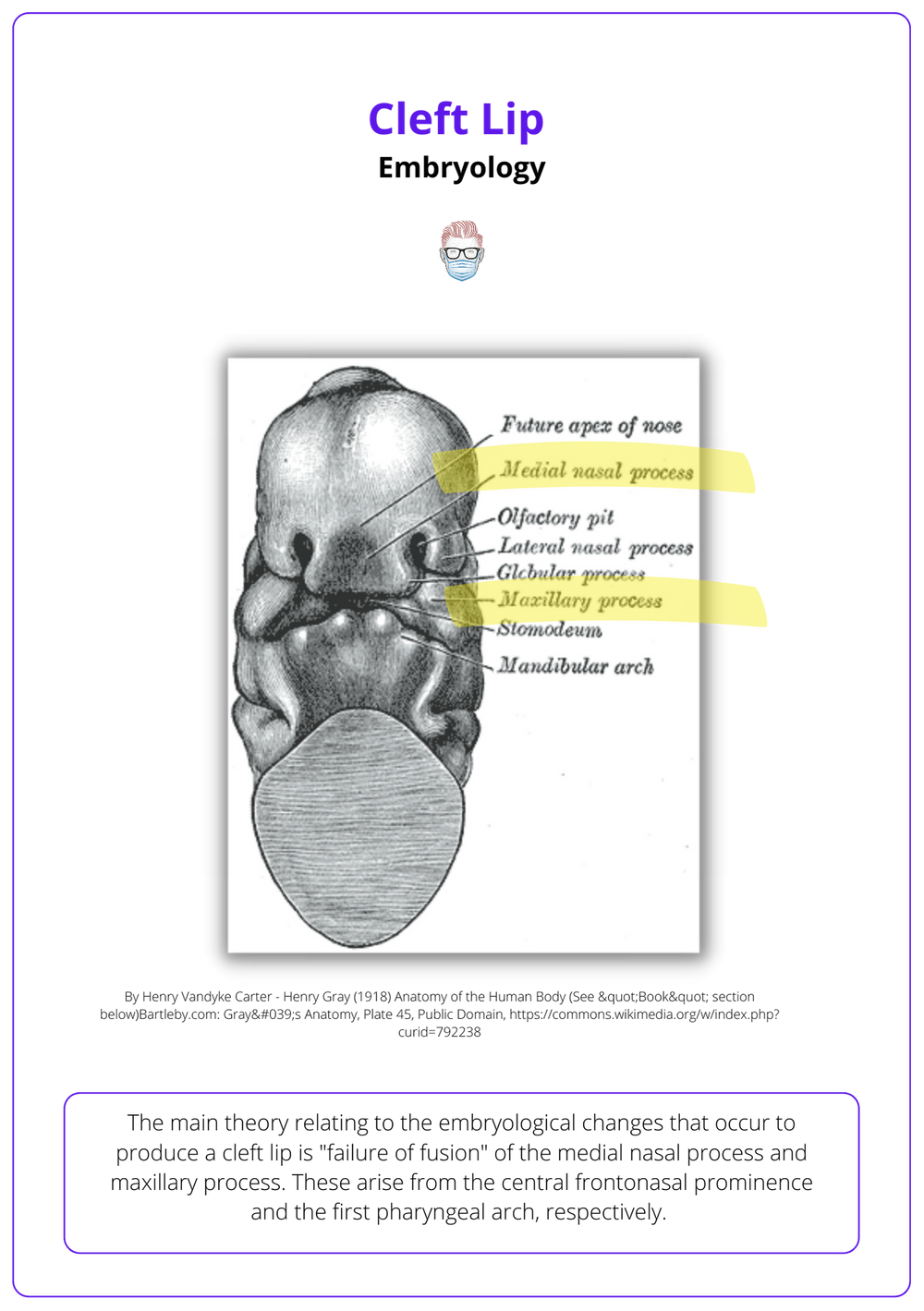 Cleft Lip - Clinical Cases
