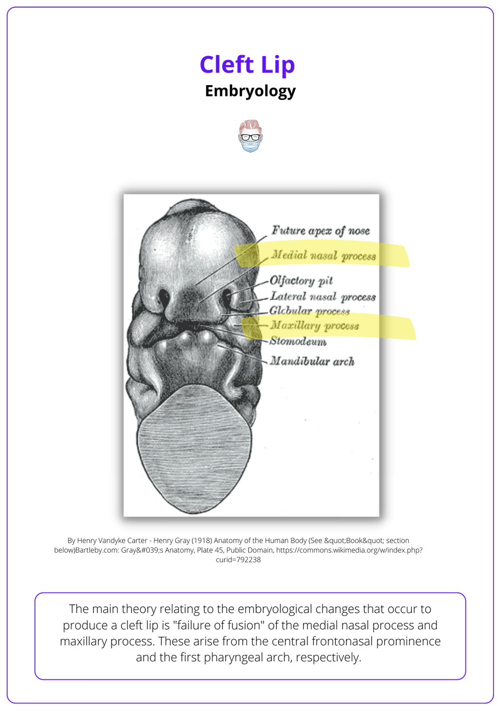 Cleft Lip: Classification, Clinical Features, & Surgical Repair