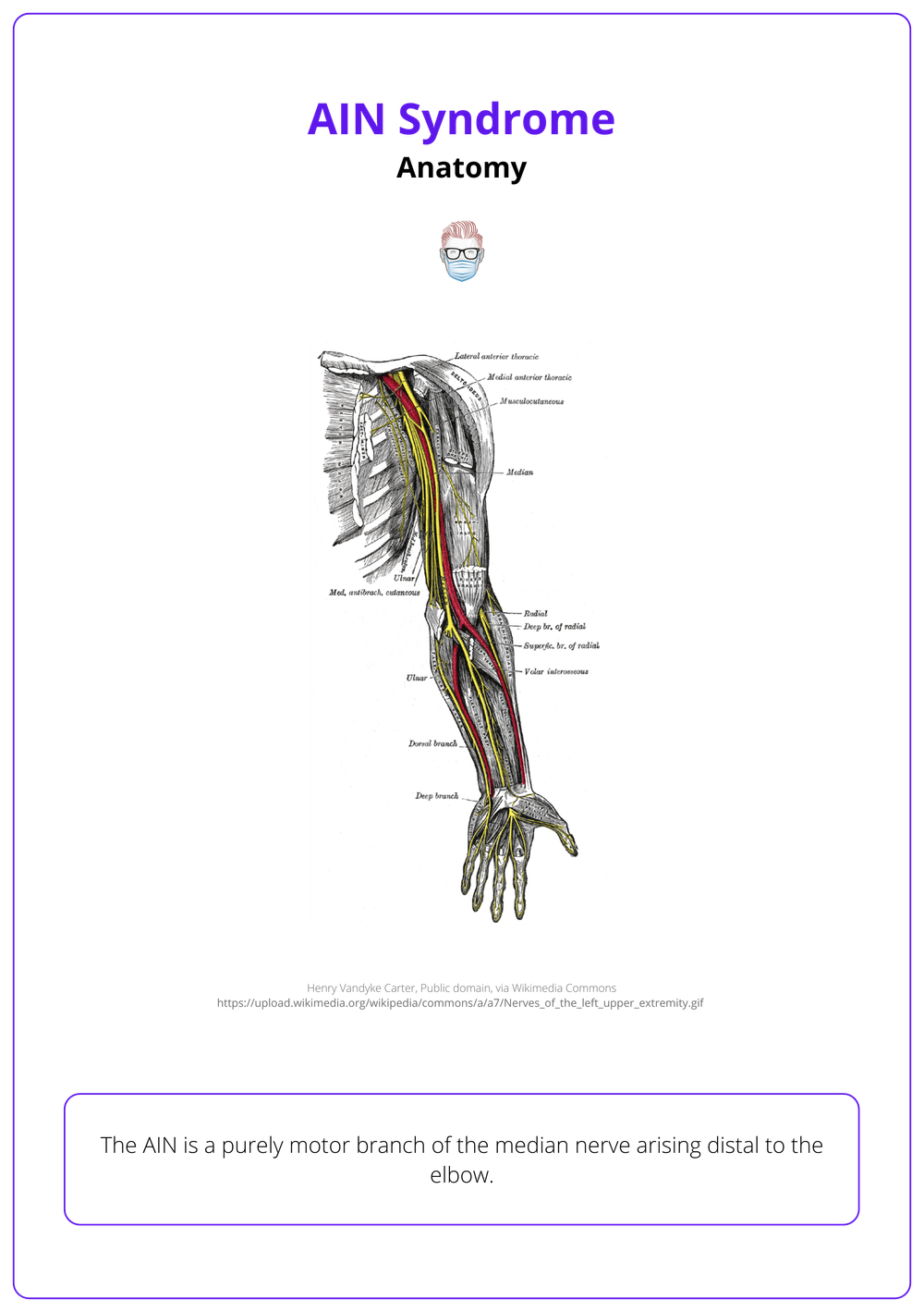 AIN Syndrome: Pathophysiology, Diagnosis, & Treatment