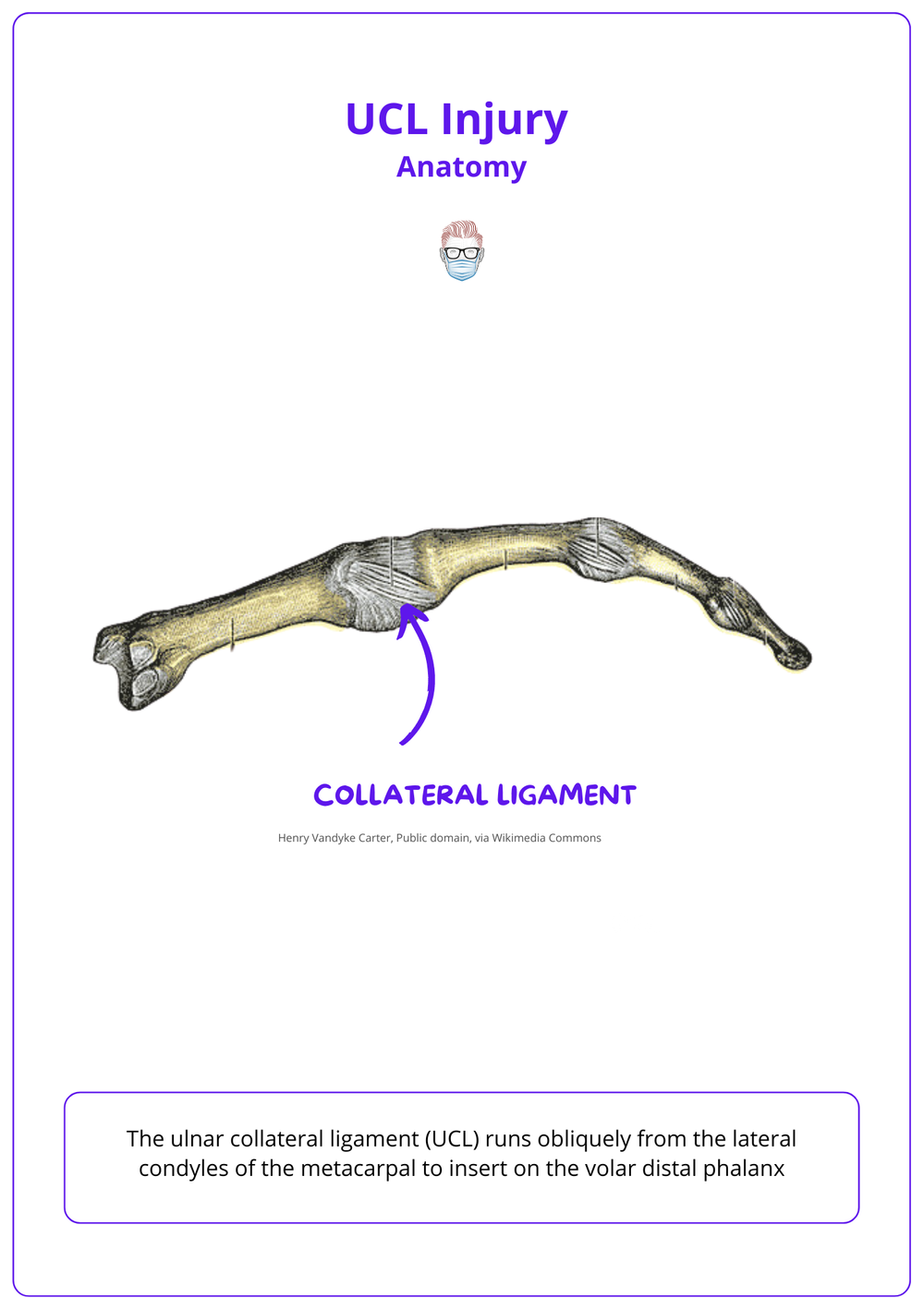 Thumb MCPJ UCL Injury: Thumb Anatomy, Diagnosis & Management