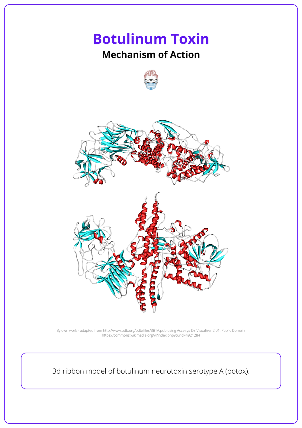 Botulinum Toxin: Mechanisms, Clinical Applications, & Injection Techniques