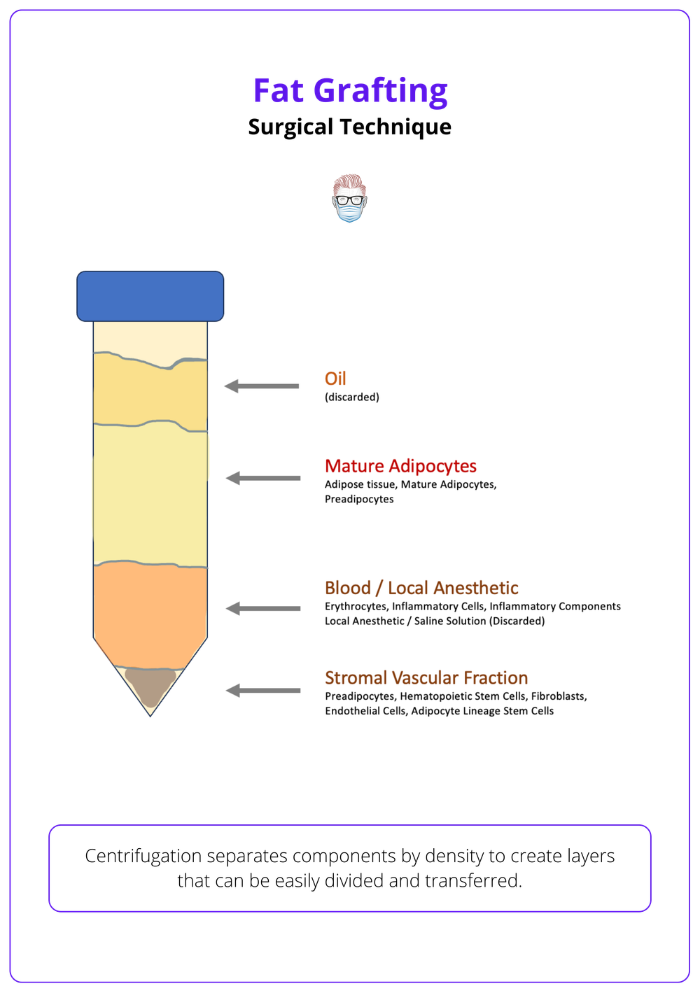Fat Grafting: Basic Science, Techniques,& Patient Management