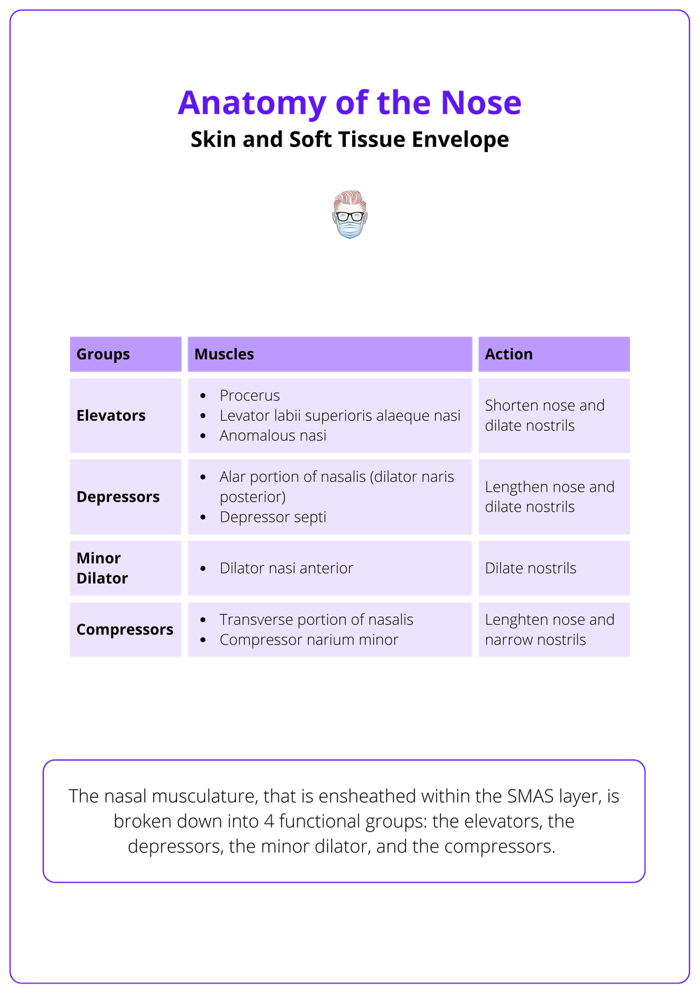 Anatomy of the Nose: Landmarks, Structure, & Surgical Considerations