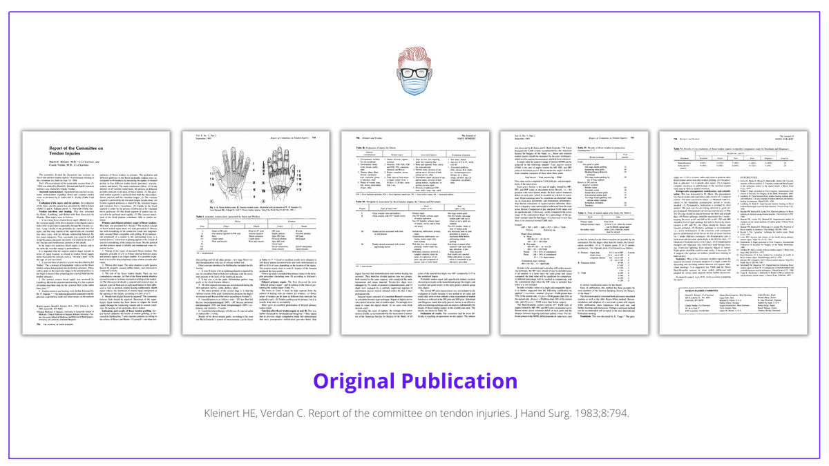 Zones of the Hand (Original Publication)