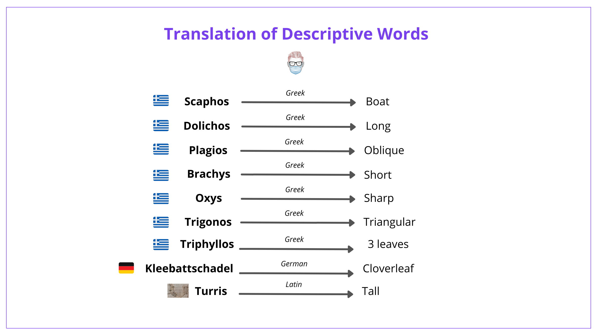 Craniosynostosis: Anatomy, Classification, & Investigations