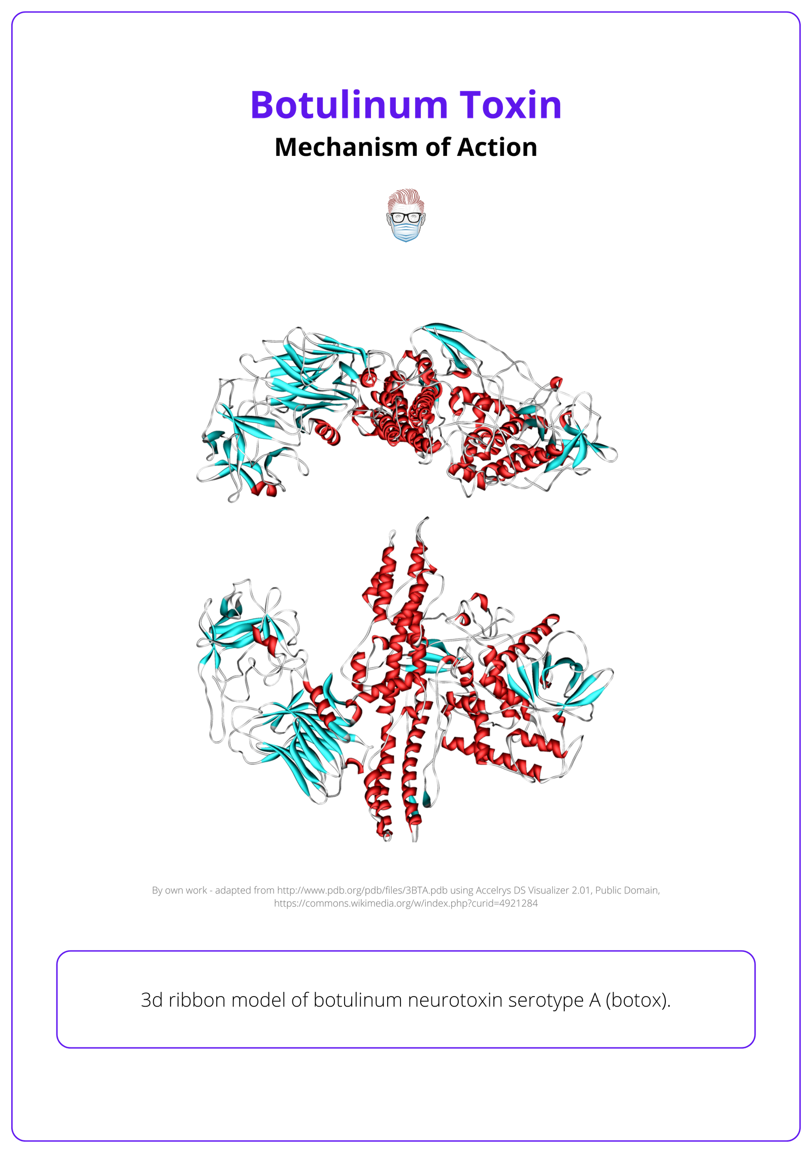 Botulinum Toxin: Mechanisms, Clinical Applications, & Injection Techniques
