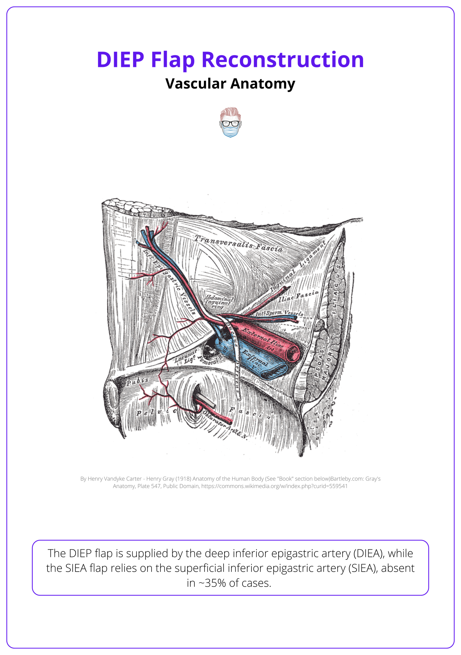 DIEP Flap Reconstruction: Anatomy, Key Surgical Steps, & Complications