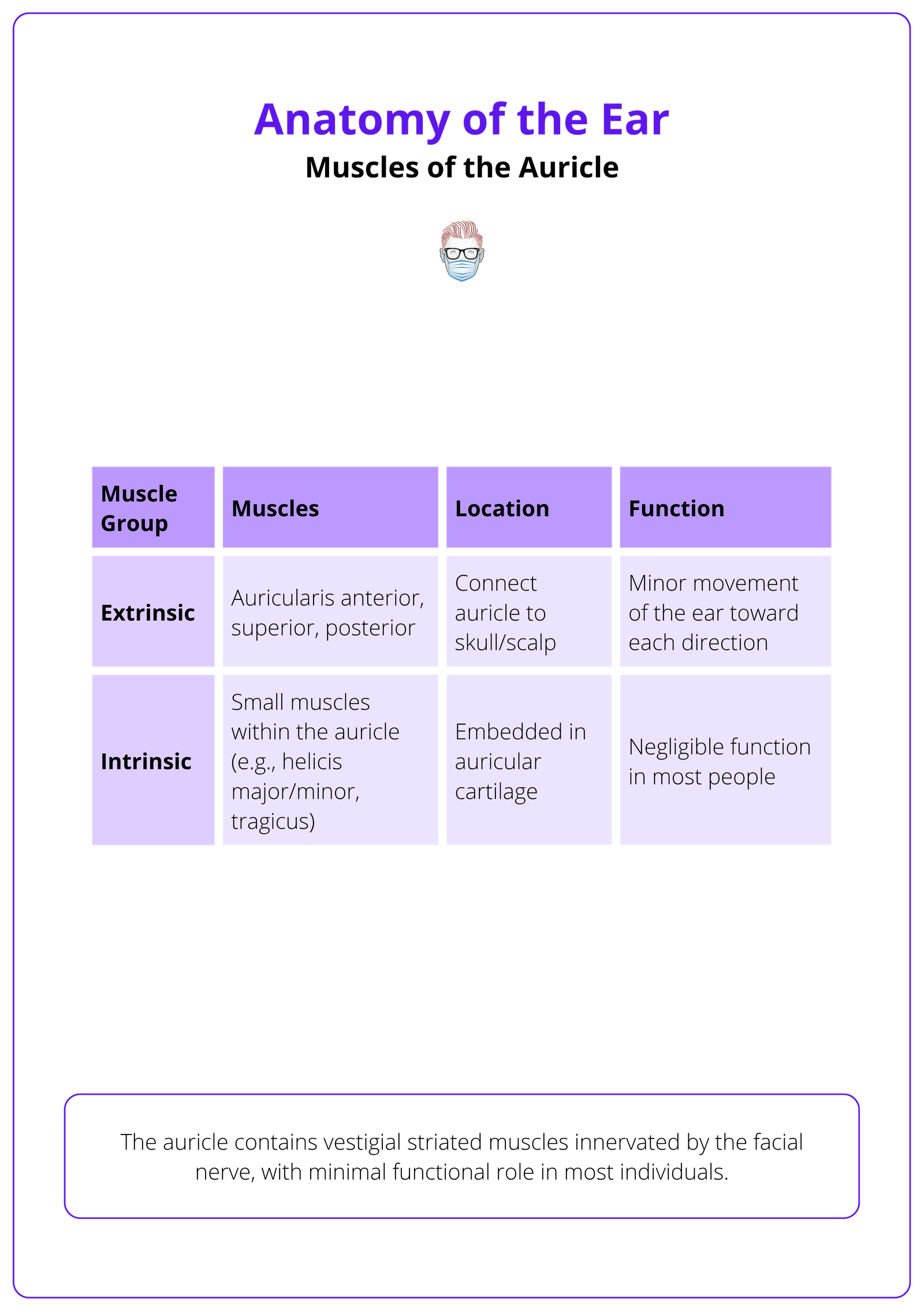 Anatomy of the Ear: Neurovascular Supply, Landmarks, & Aesthetic Subunits