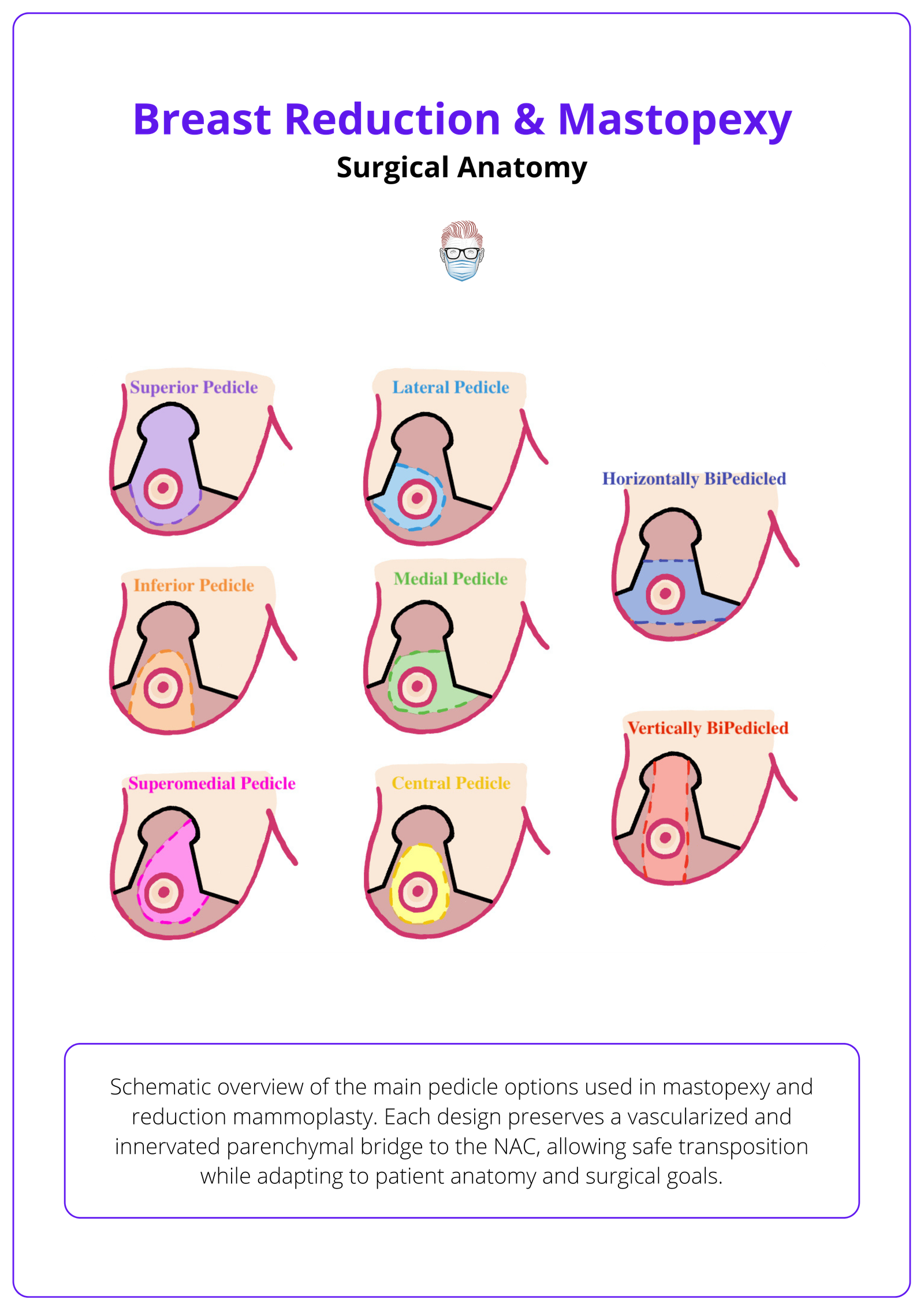 Breast Reduction and Mastopexy: Anatomy, Techniques, & Complications