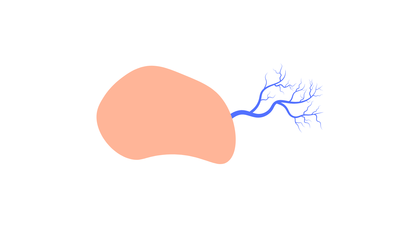 Venous Flaps: Physiology, Classification, & Evaluation