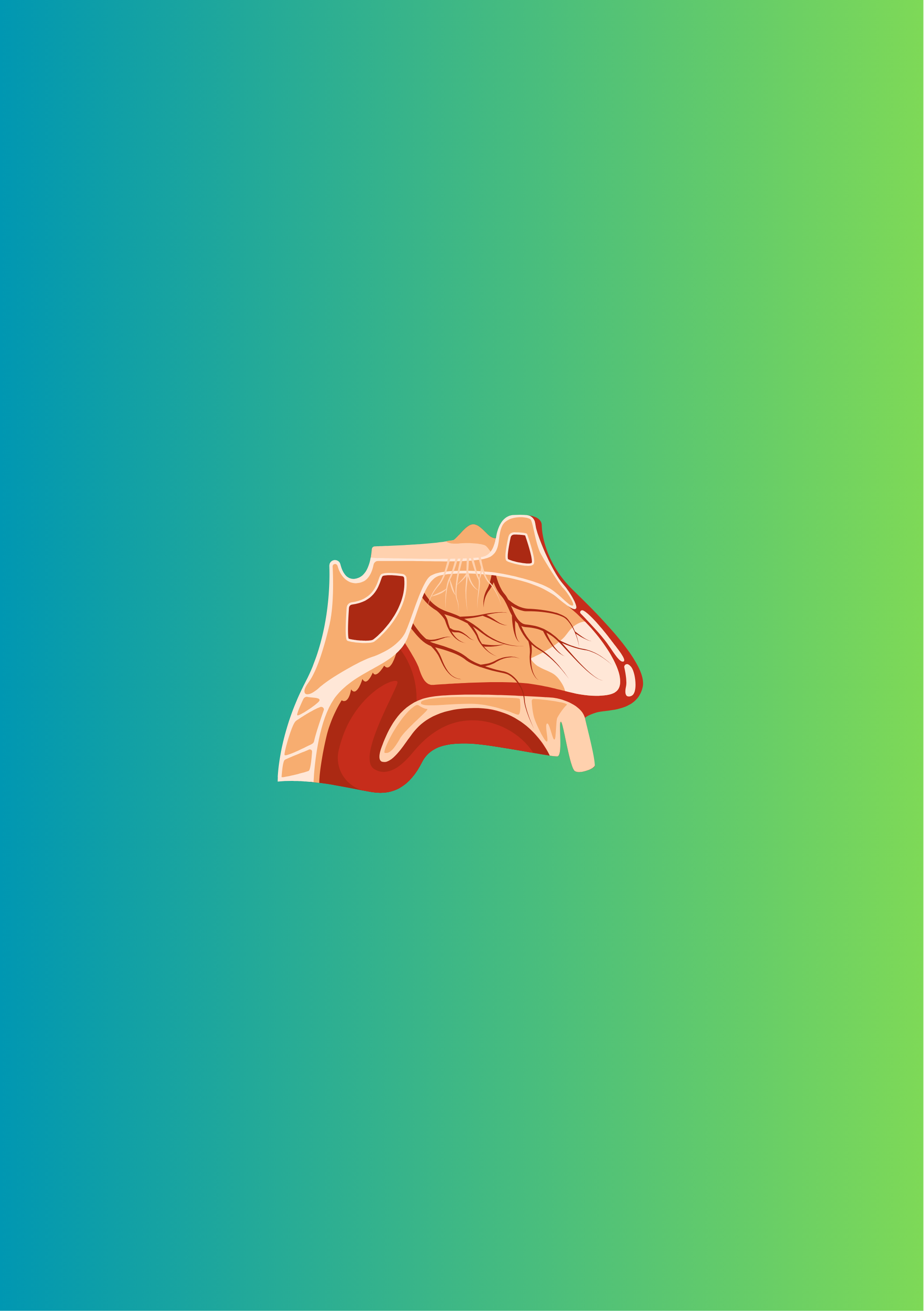 Anatomy of the Nose: Landmarks, Structure, & Surgical Considerations