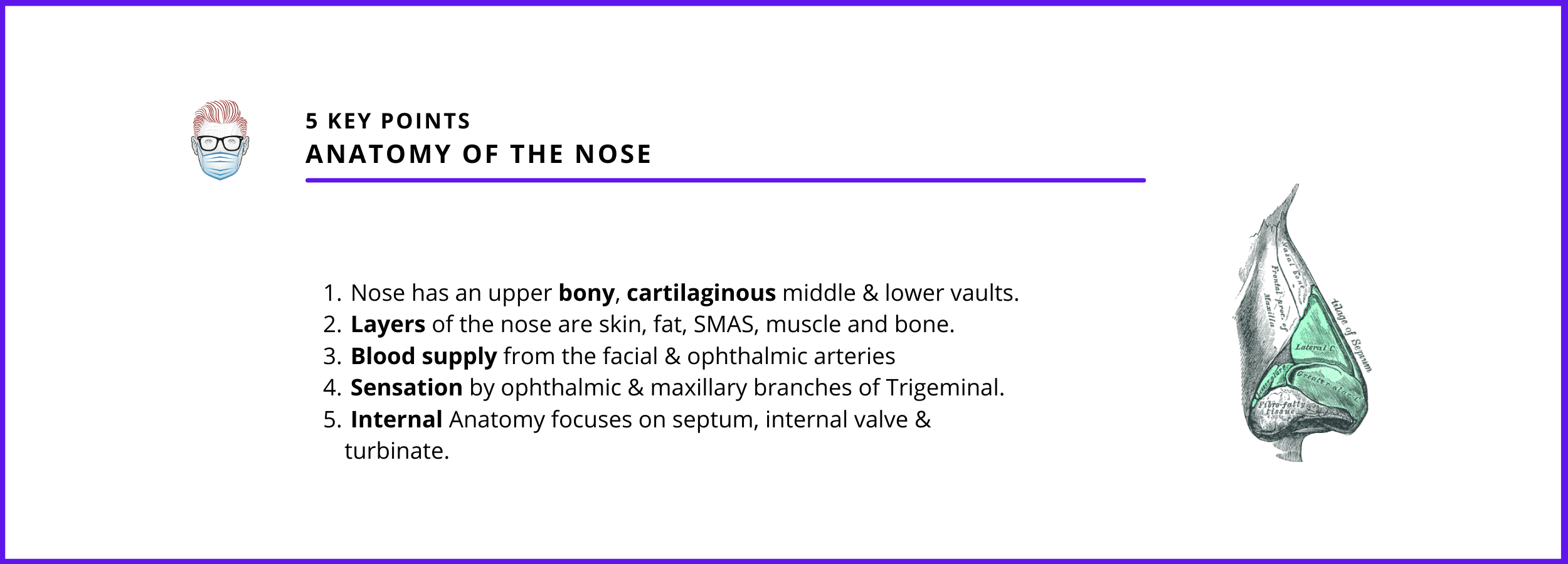 Clinical Anatomy of the Nose
