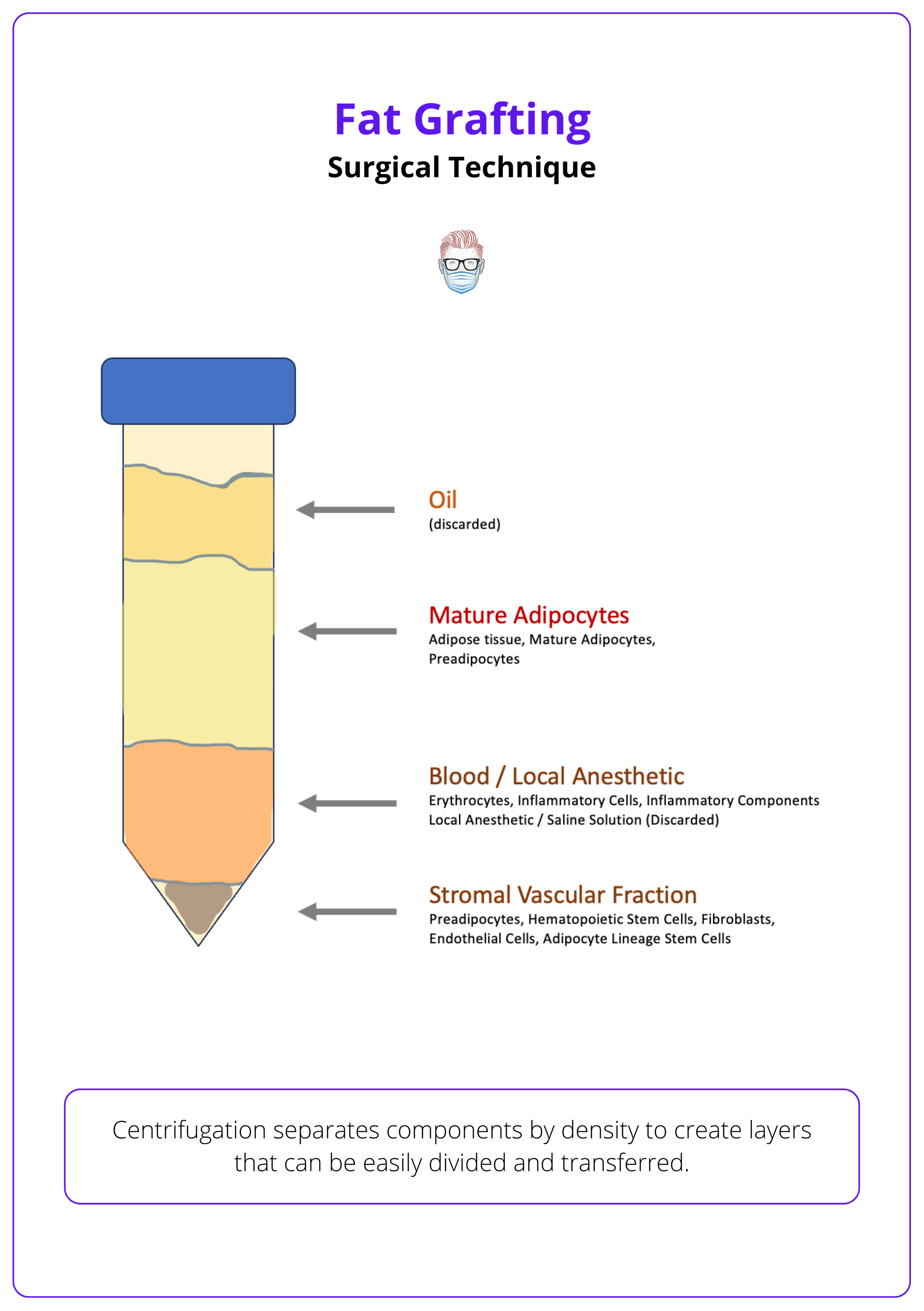 Fat Grafting: Basic Science, Techniques,& Patient Management