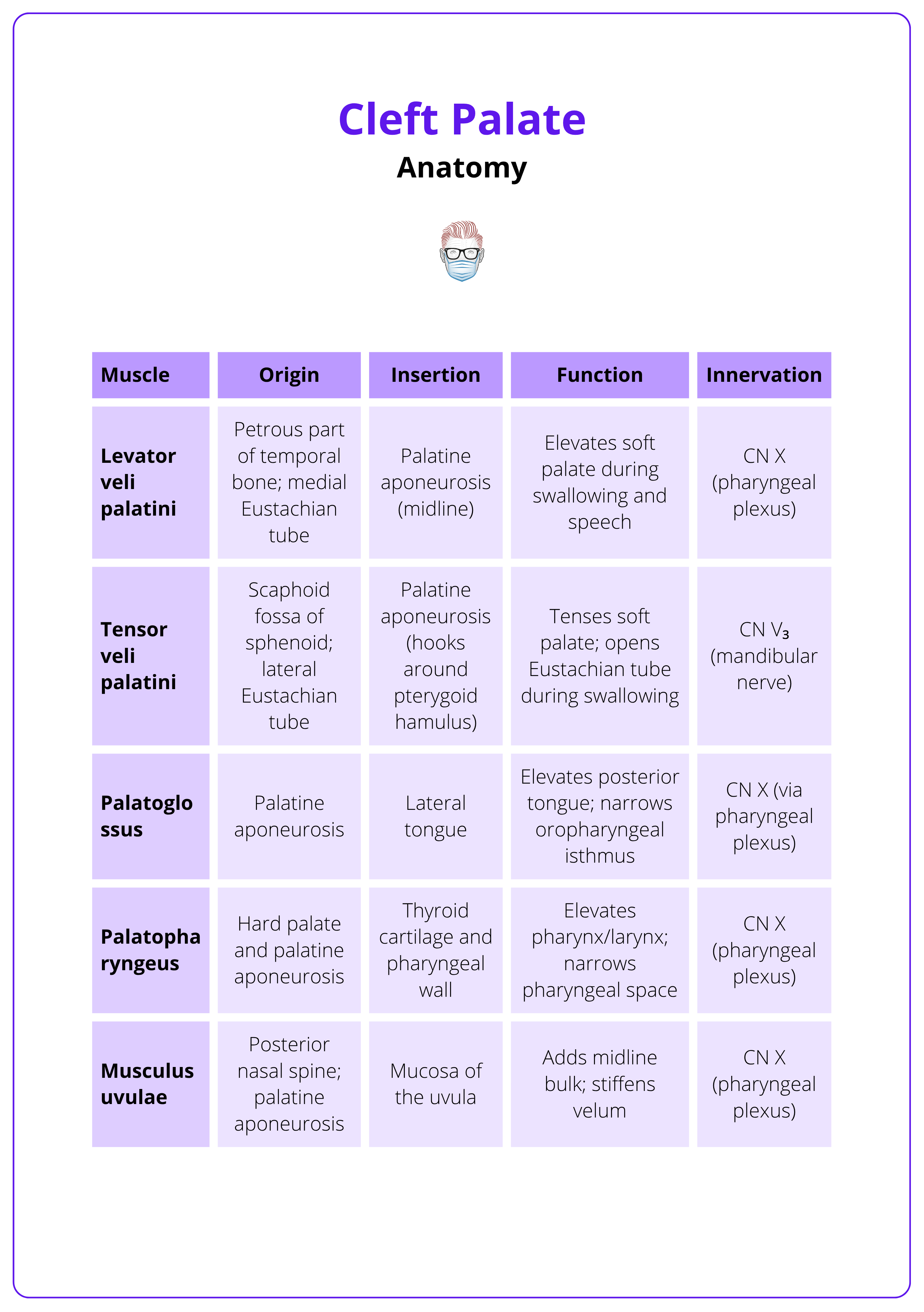Cleft Palate: Anatomy, Classification, & Surgical Repair