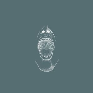 Anatomy of Hard & Soft Palate: Bones, Muscle, Artery, and Nerves