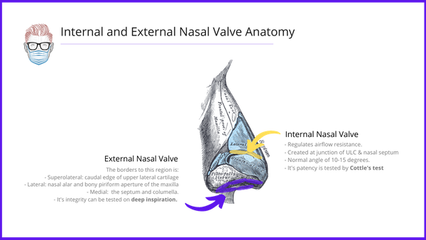 Nasal Analysis for Rhinoplasty Patients