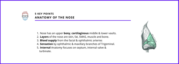 Clinical Anatomy of the Nose