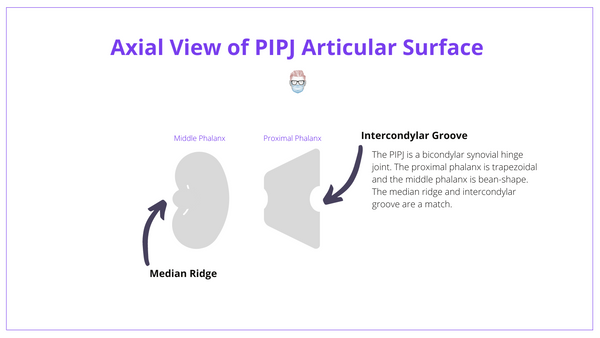 PIPJ Anatomy - Joint, Ligaments, Volar Plate