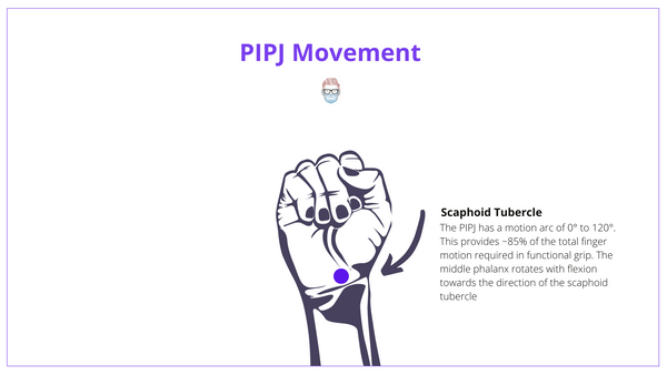 PIPJ Anatomy - Joint, Ligaments, Volar Plate