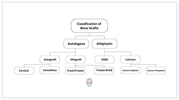 Bone Grafts