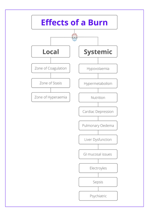 Burn Complications: Organ Failure, Metabolism, & Nutrition