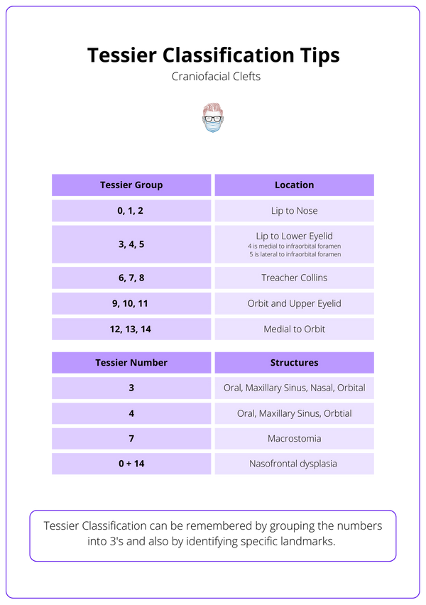 Craniofacial Clefts: Tessier Classification, Types, & Management