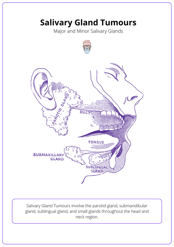 Salivary Gland Tumours: Classifying, Anatomy, & Treatment