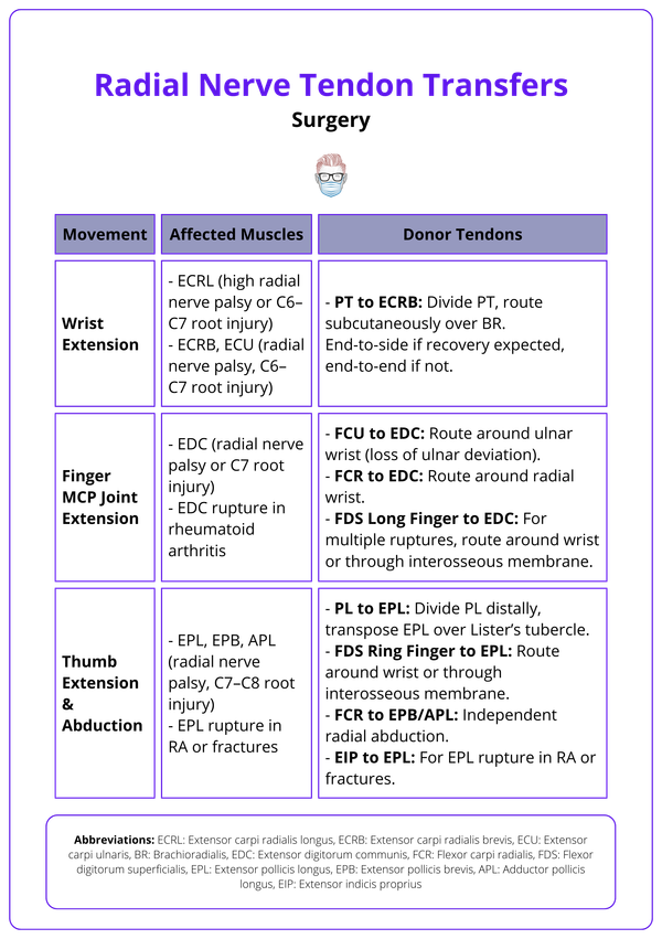 Radial Nerve Tendon Transfers: Principles, Anatomy & Surgery
