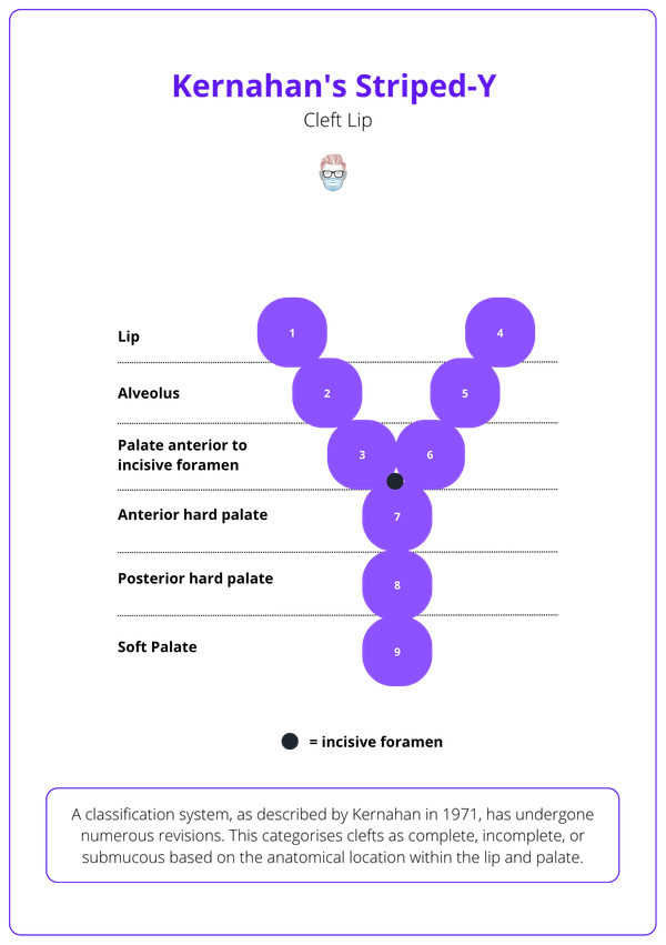 Cleft Lip: Classification, Clinical Features, & Surgical Repair