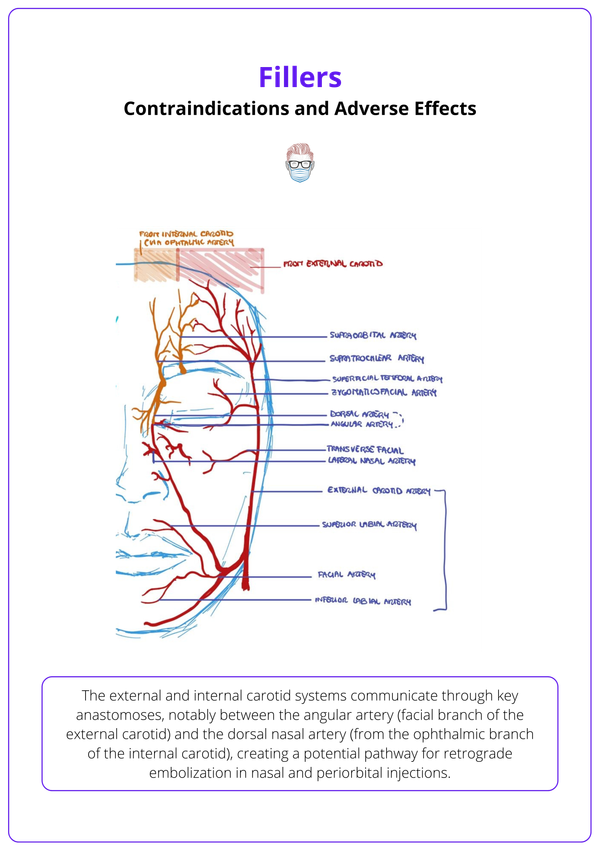 Injectable Fillers: Classification, Indications, & Injection Techniques