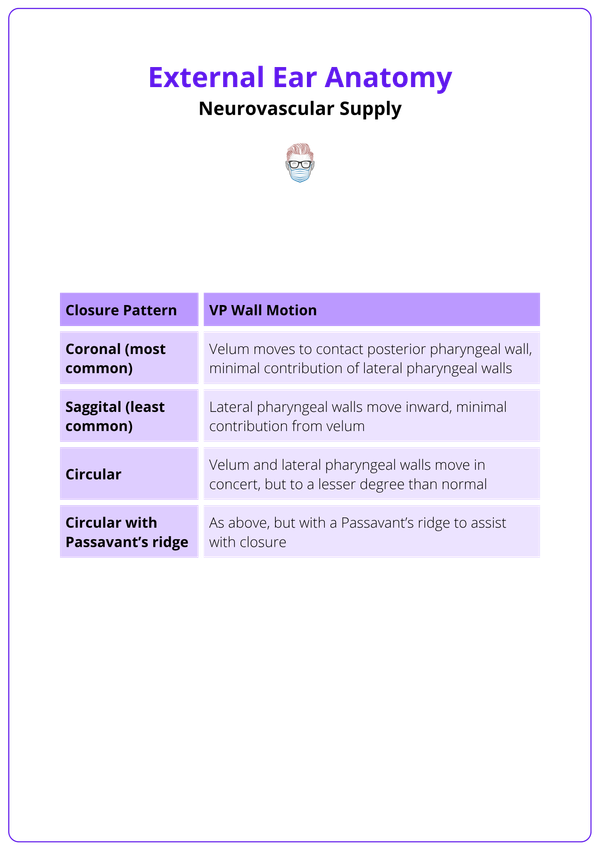 Anatomy of the Ear: Neurovascular Supply, Landmarks, & Aesthetic Subunits