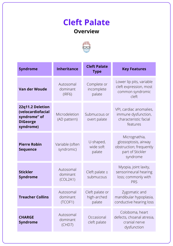 Cleft Palate: Anatomy, Classification, & Surgical Repair